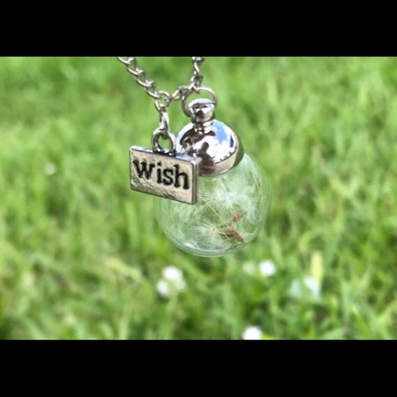 Jewelry | Dandelion Seed Wish Necklace | Poshmark